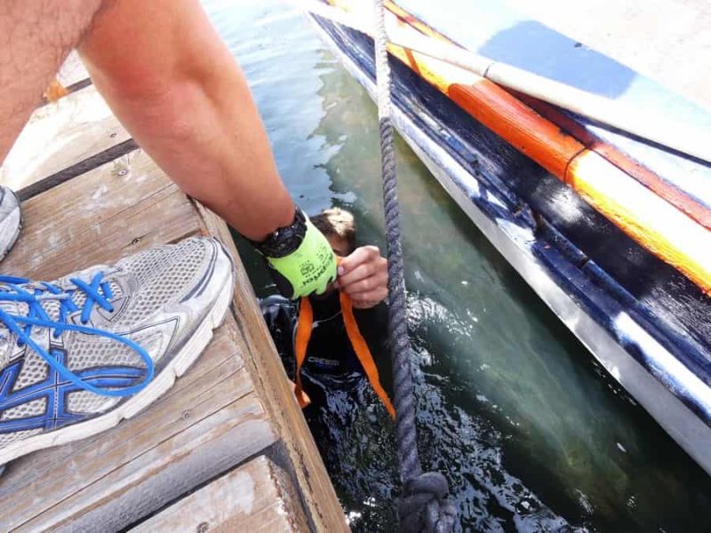 Ecocean | 3 nouveaux ports équipés de Biohut®