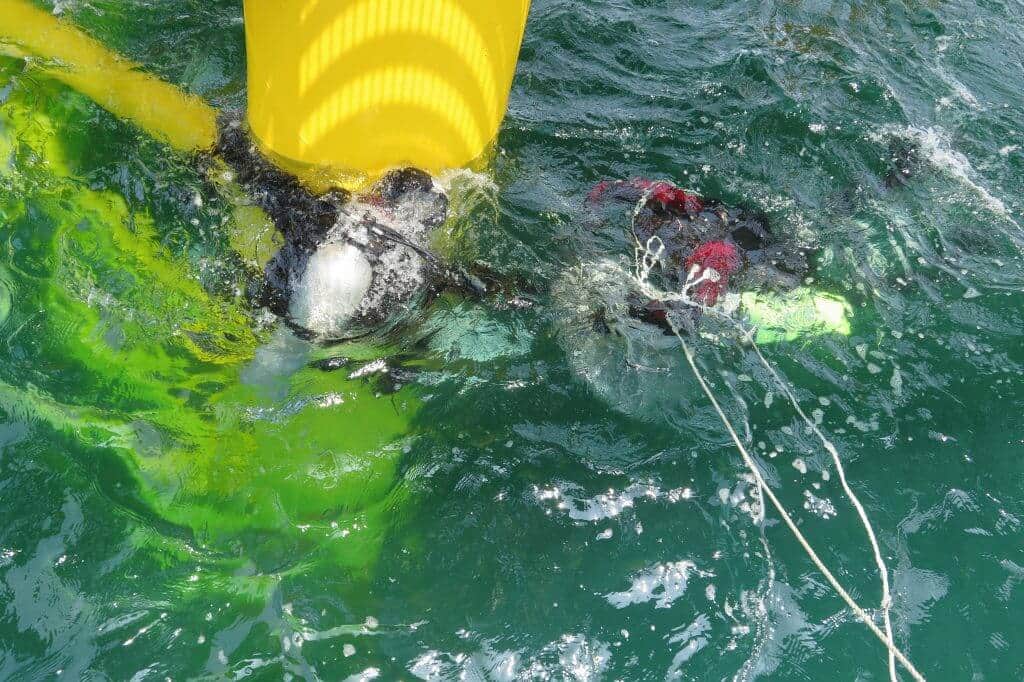 Ecocean | Des Biohut® en Mer Jaune – Corée du Sud