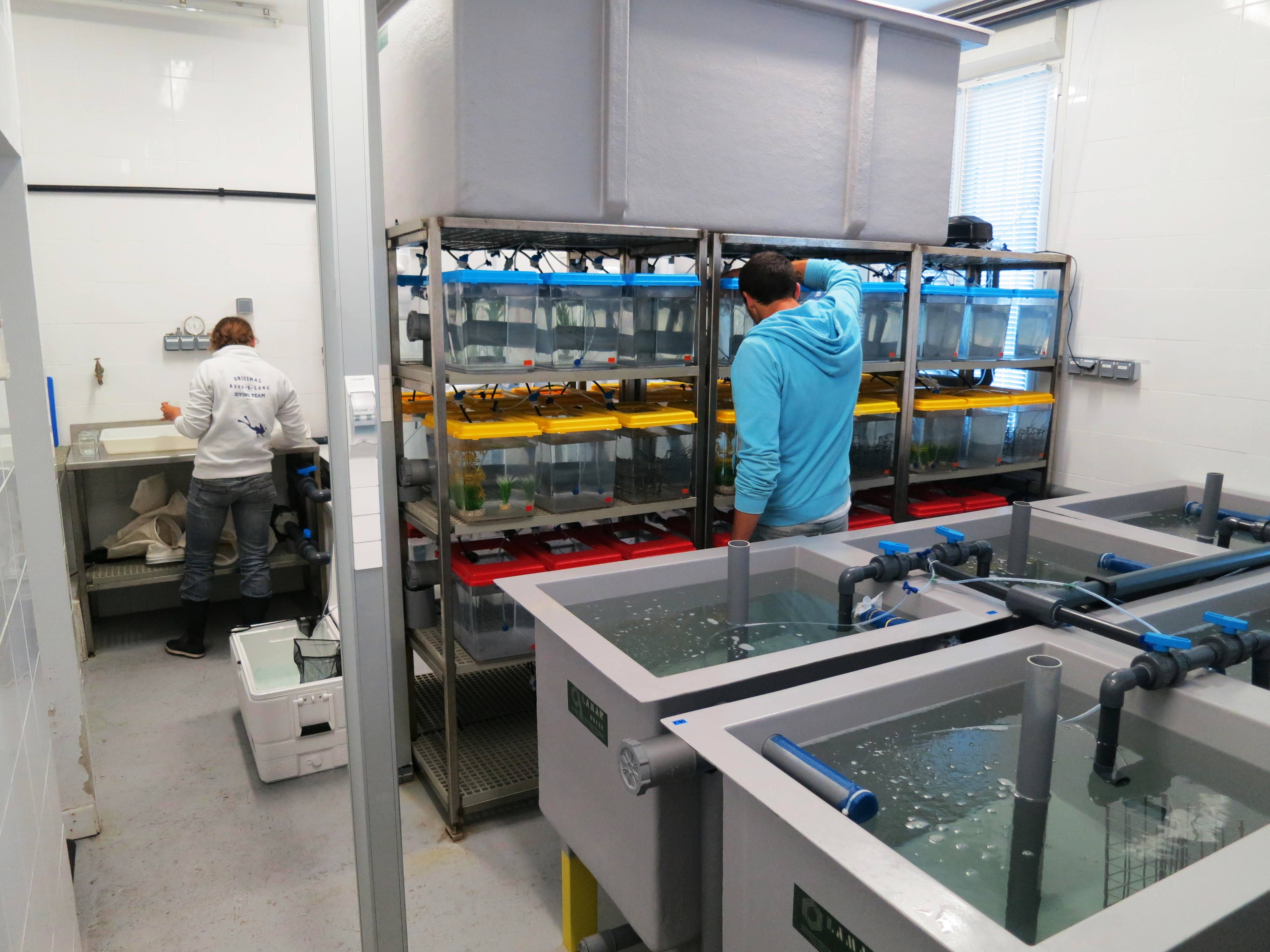 Ecocean | GIREL 3R Project – Marseille (France)