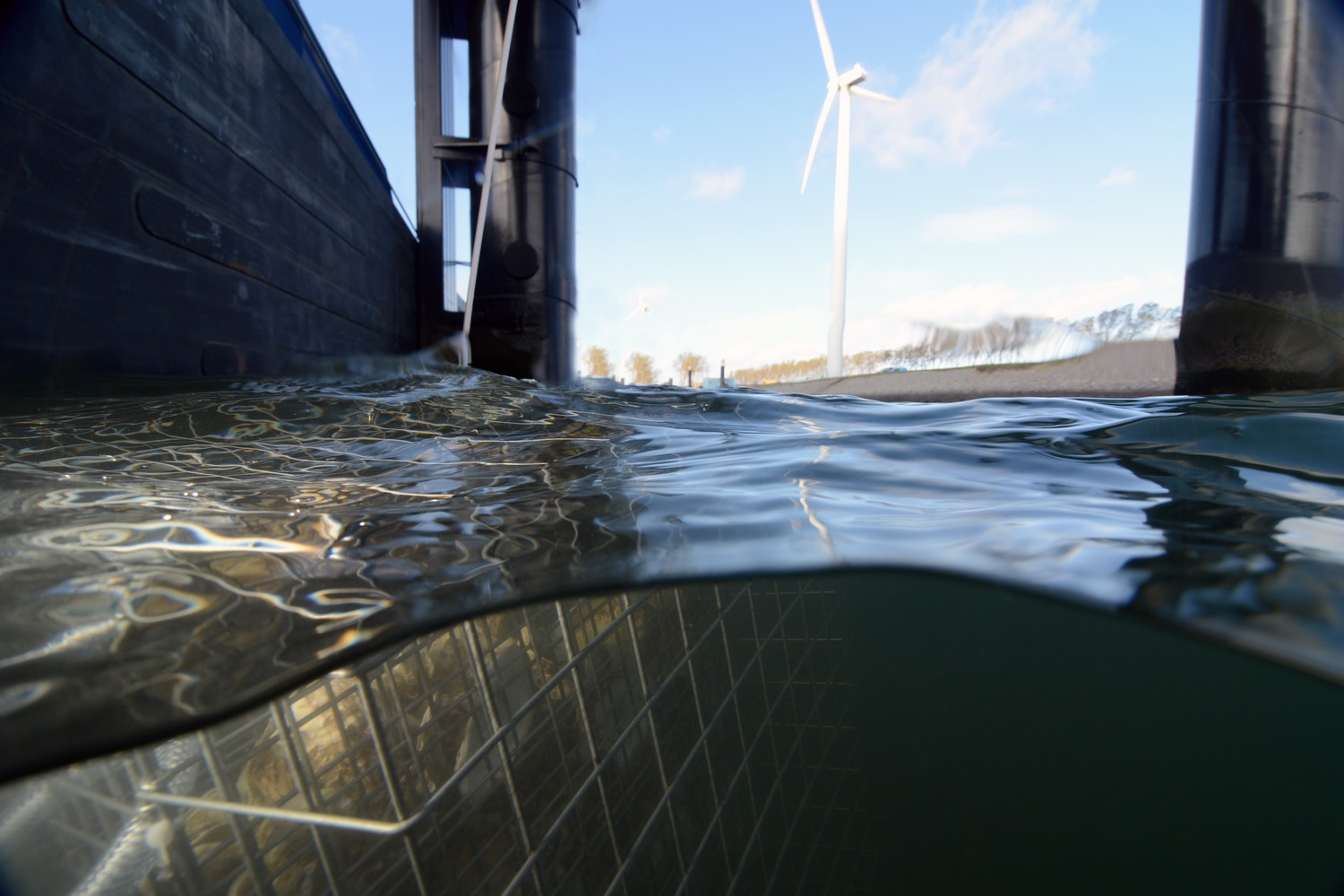 Ecocean | Biohut in the Port of Rotterdam