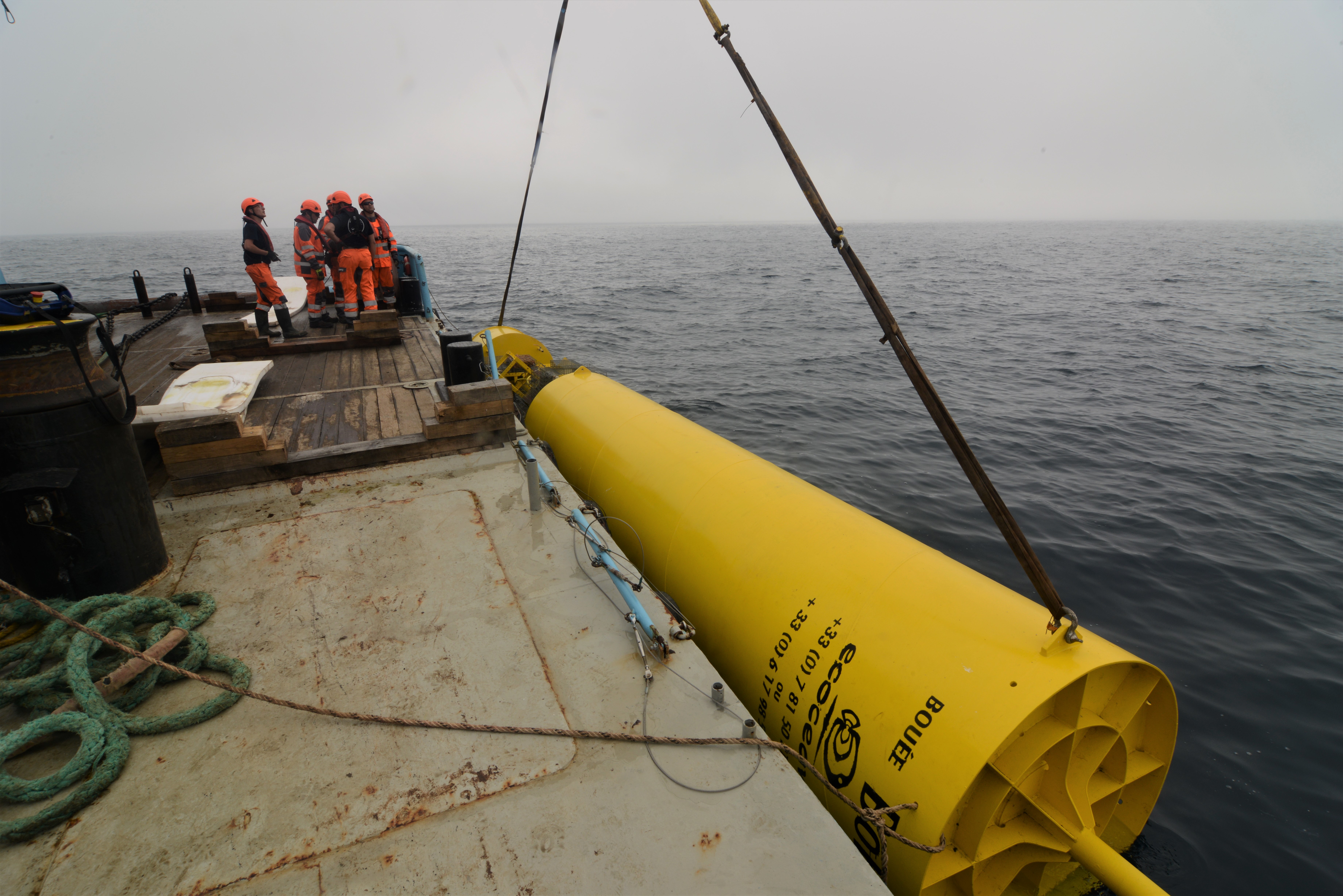 Ecocean | 3000ème BIOHUT installé sur une drôle de bouée