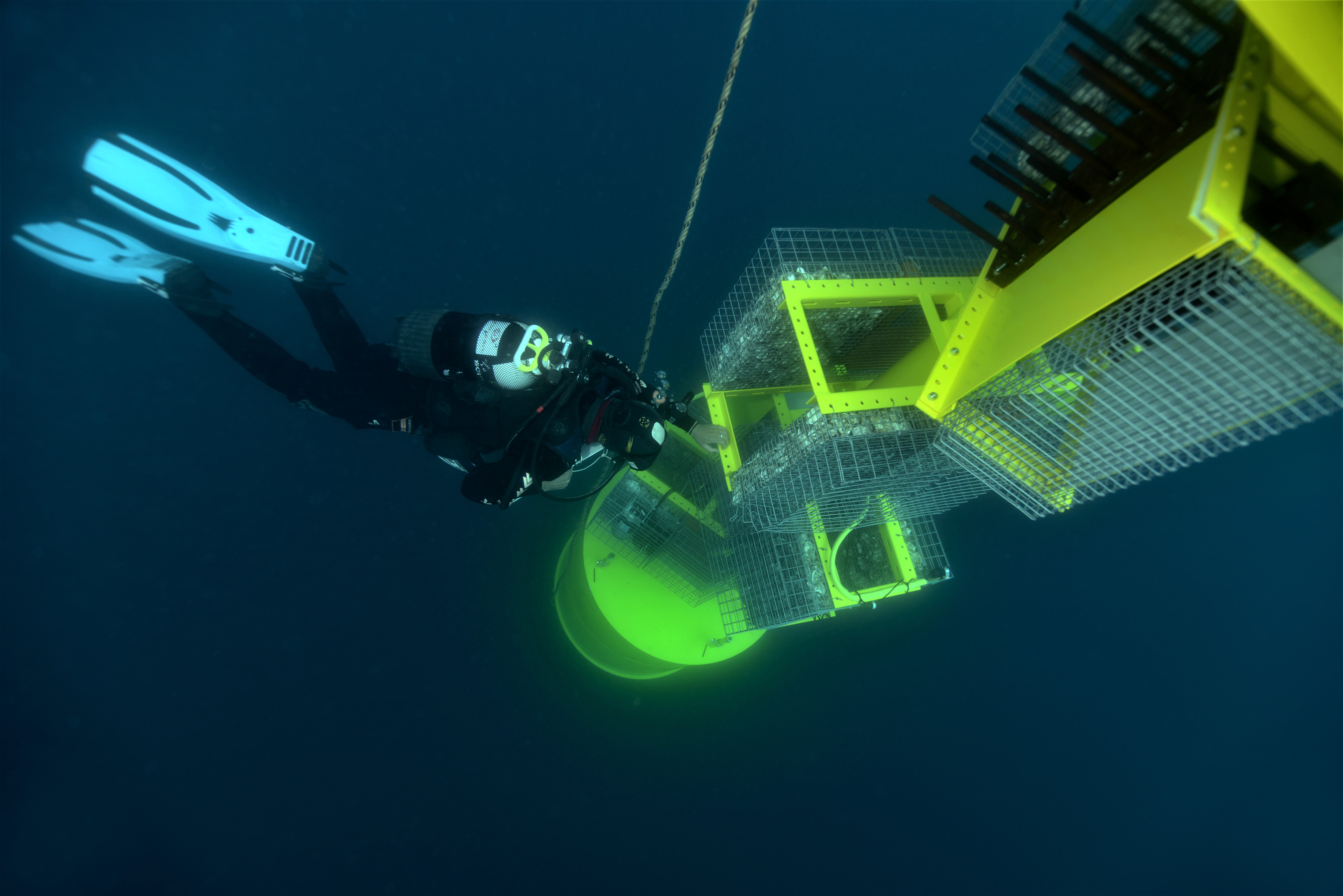 Ecocean | 3000ème BIOHUT installé sur une drôle de bouée