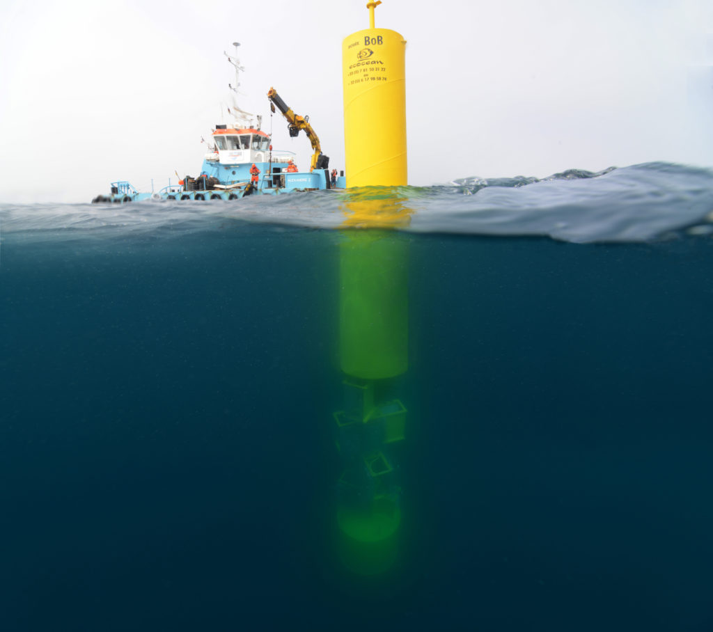Ecocean | Biohut in Baltimore with the National Aquarium & Biohabitats