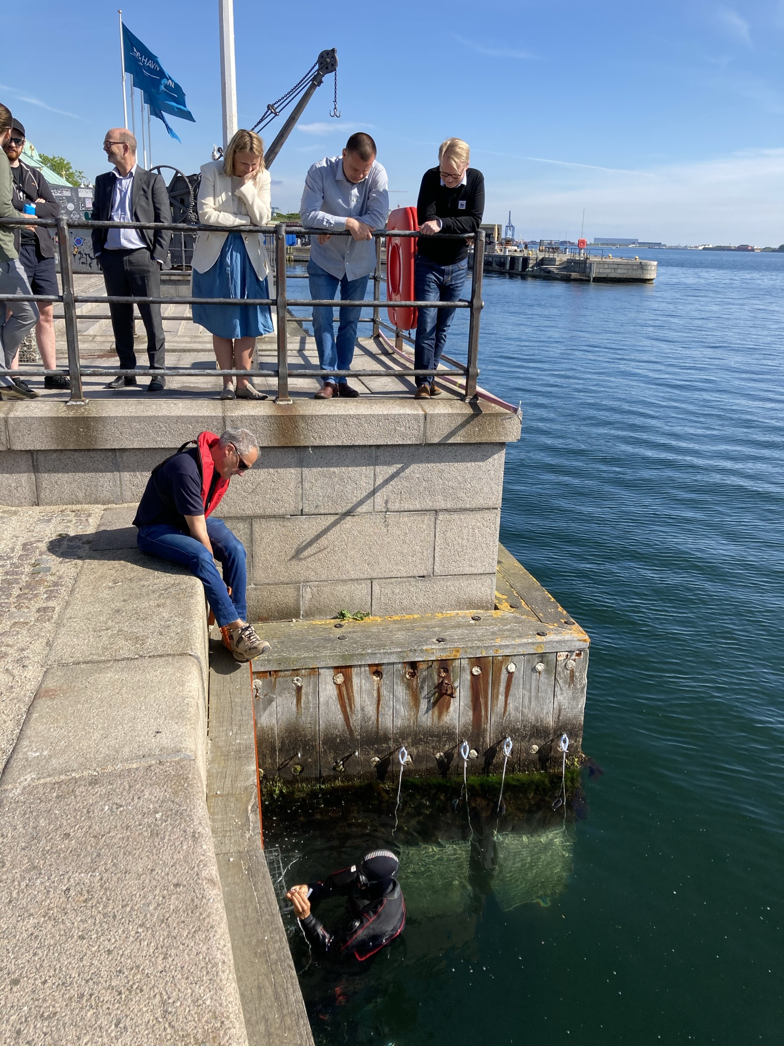 Ecocean | Copenhagen, WWF acts for the marine environment