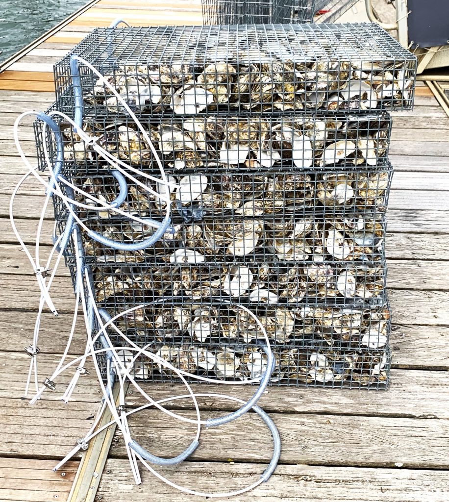 Ecocean | Ecocean exports internationally!